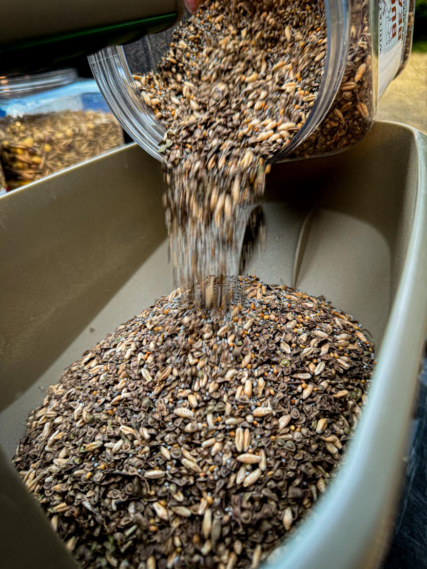 Kill Plot – Whitetail Hill