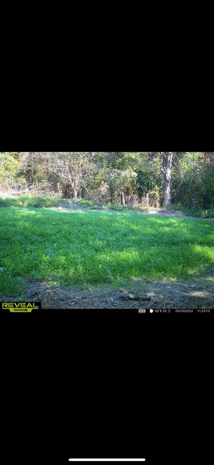 Kill Plot – Whitetail Hill