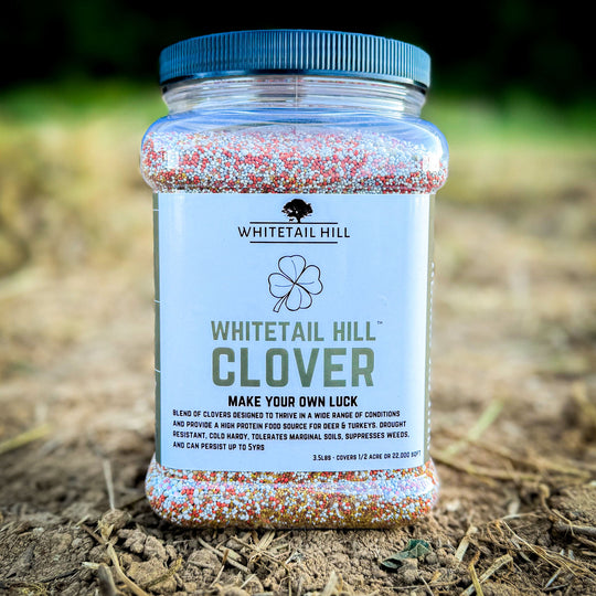 Not All Clover is Created Equal – Whitetail Hill
